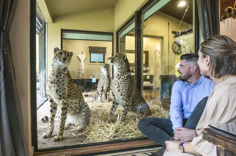 Jamala Wildlife Lodge - To inspire and assist in the conservation of ...